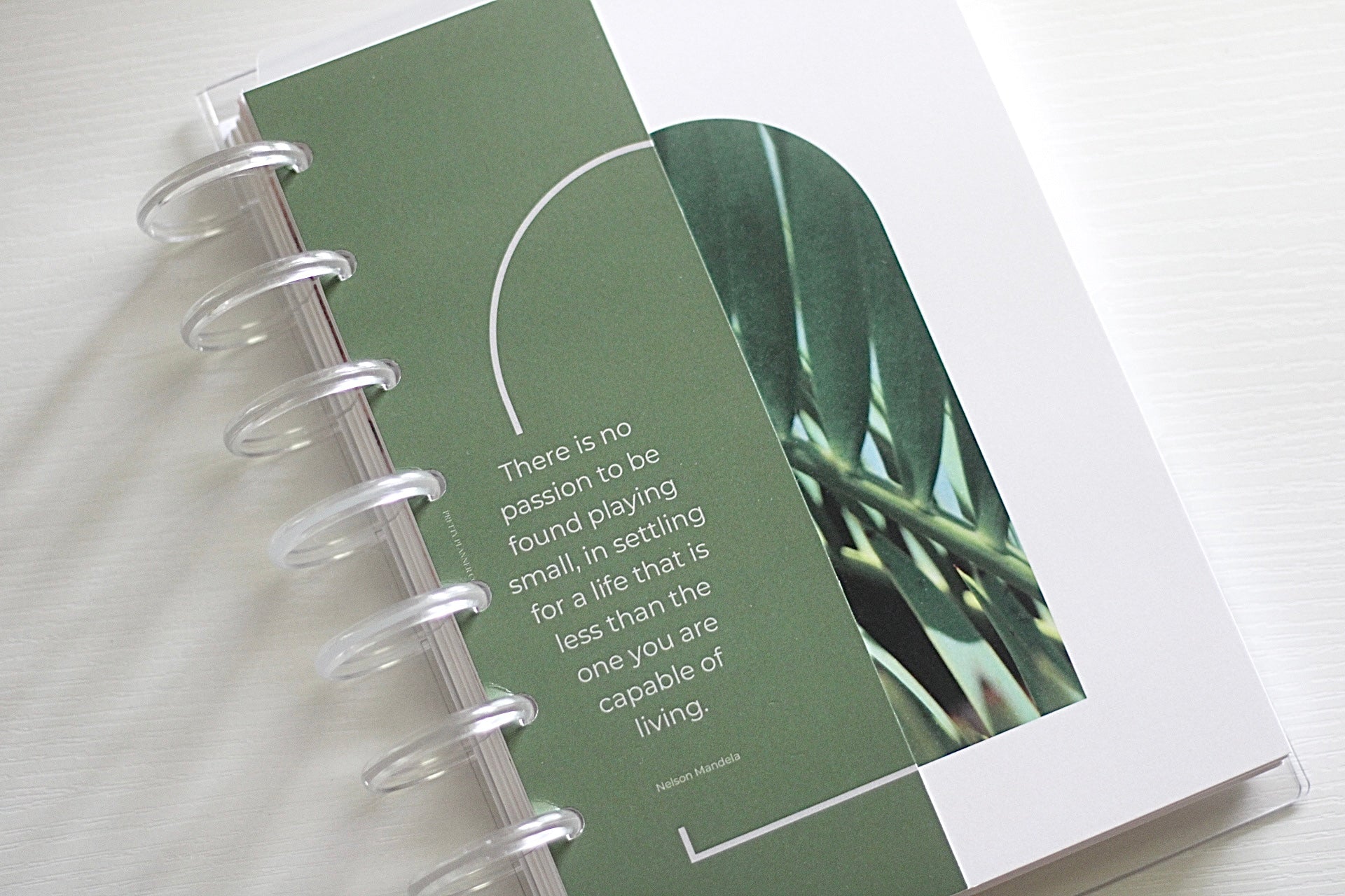 Spring Verdure Duo Dashboards